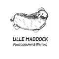 Ulle Haddock - digital downloads & prints