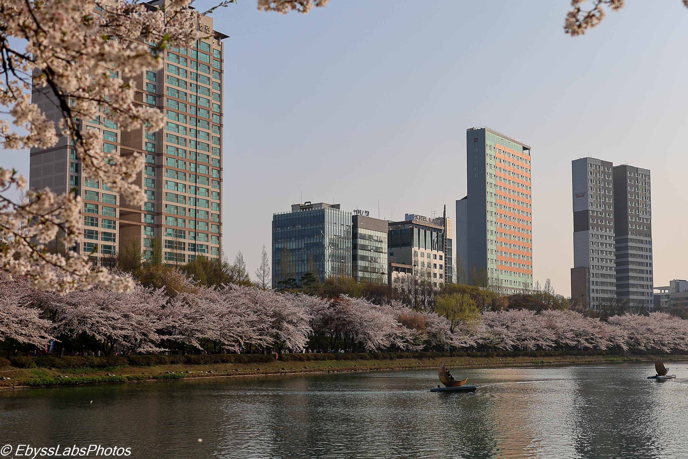 Ron Reed - buy prints & digital downloads