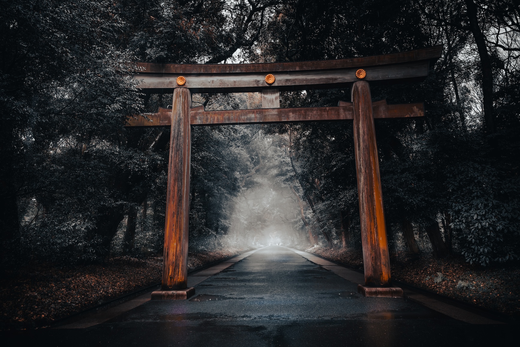 Timothy Scott Ralston - buy prints & digital downloads