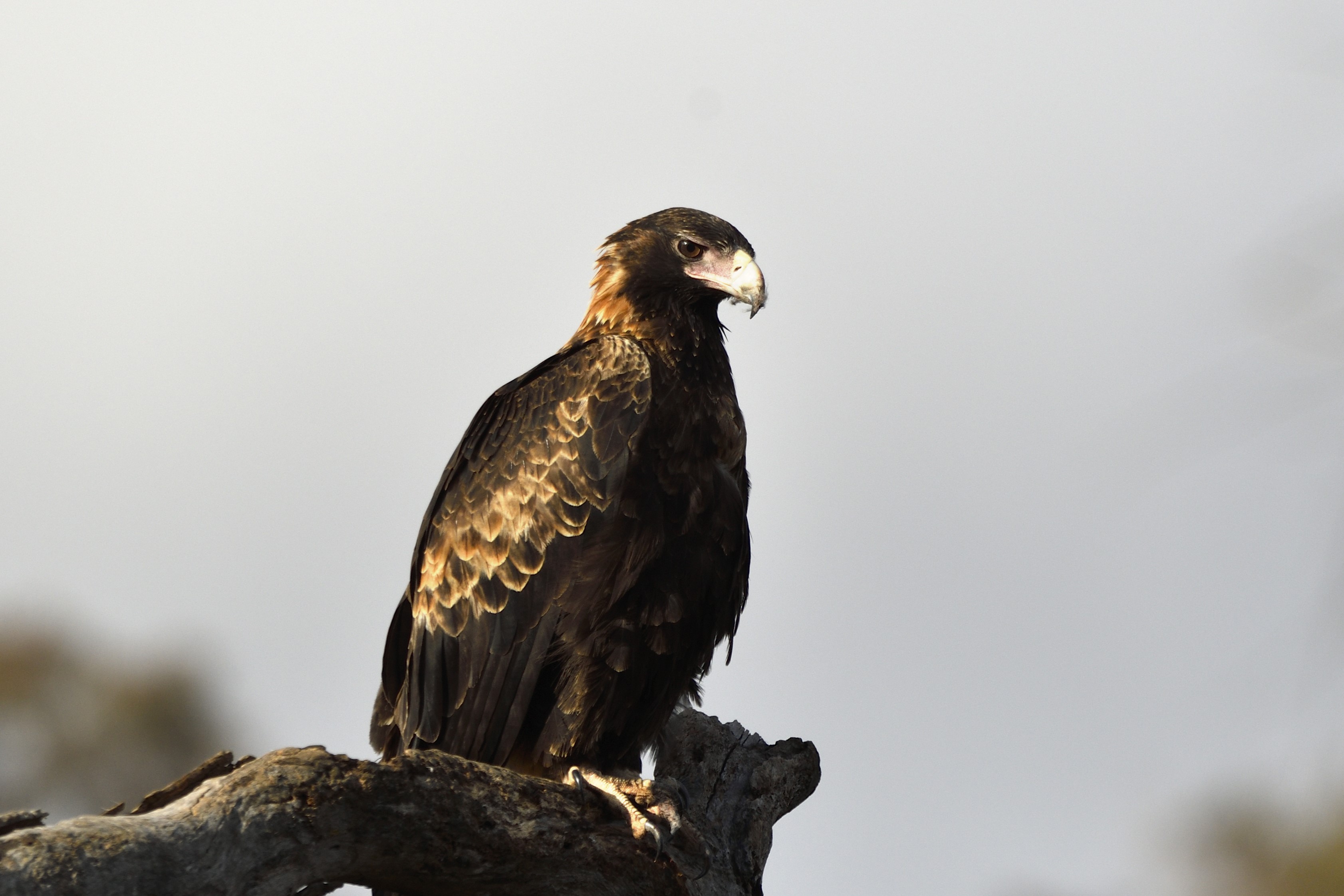 David Cunningham - buy prints & digital downloads